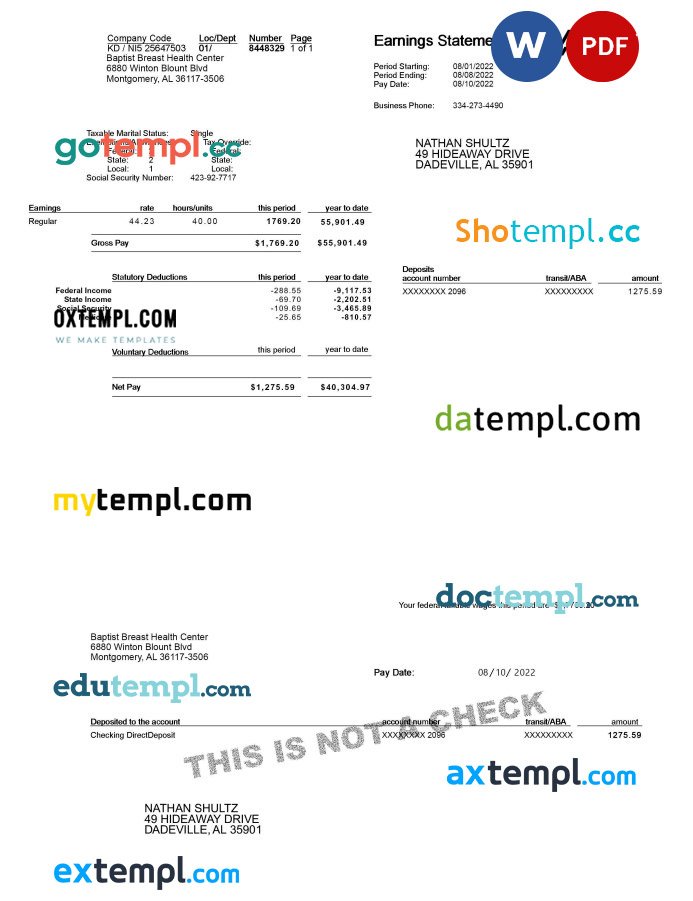 fake ADP earnings statement download Word and PDF template, version 2 ...