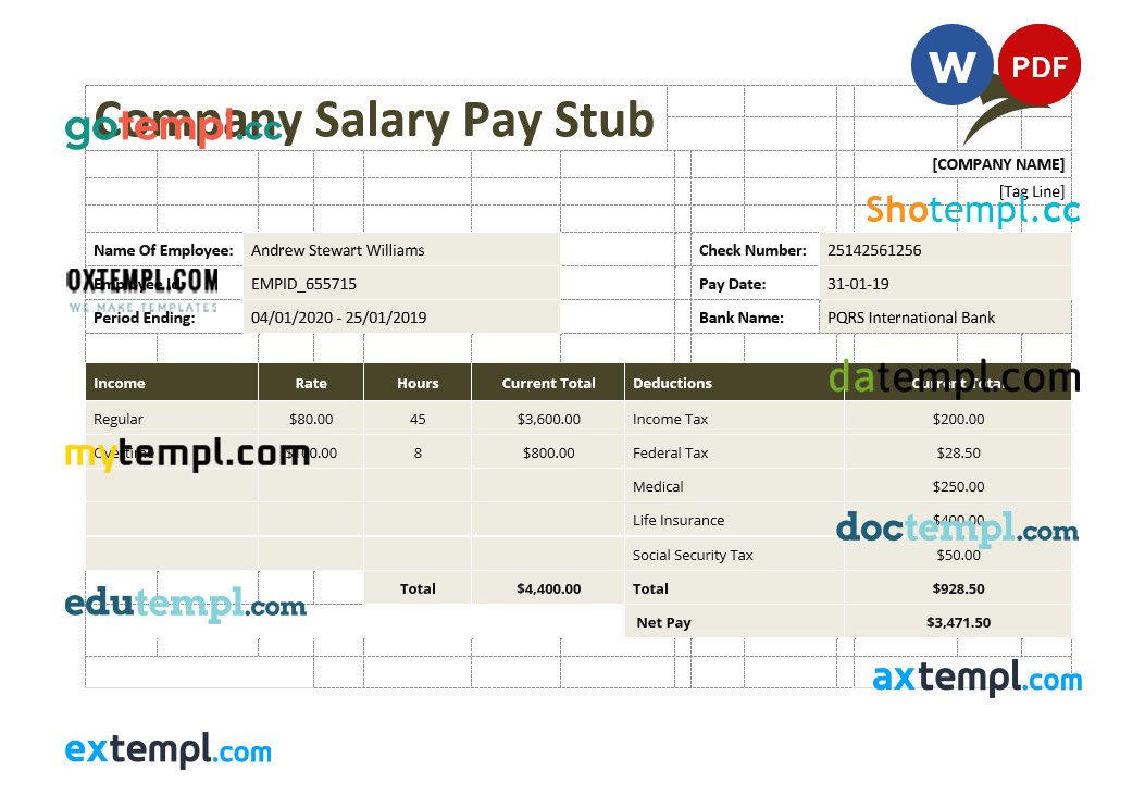 fake Company Salary pay stub download Word and PDF template - download ...