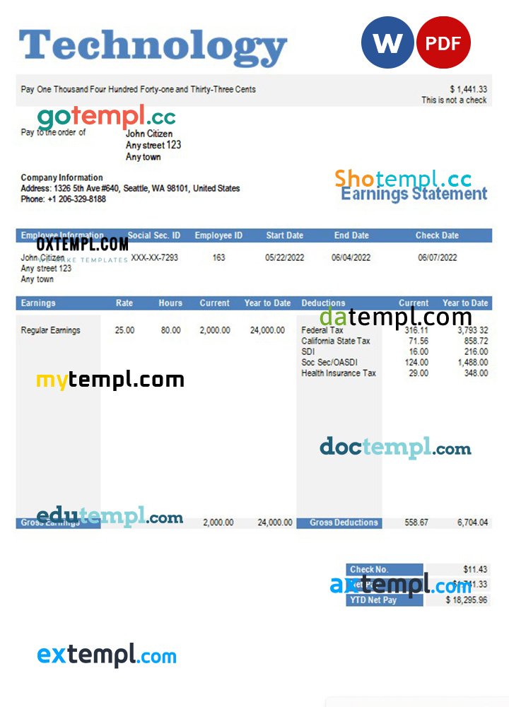 fake technology company paystub download Word and PDF template ...