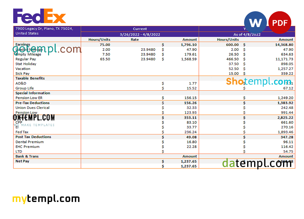 fake USA Fedex transportation company pay stub download Word and PDF ...